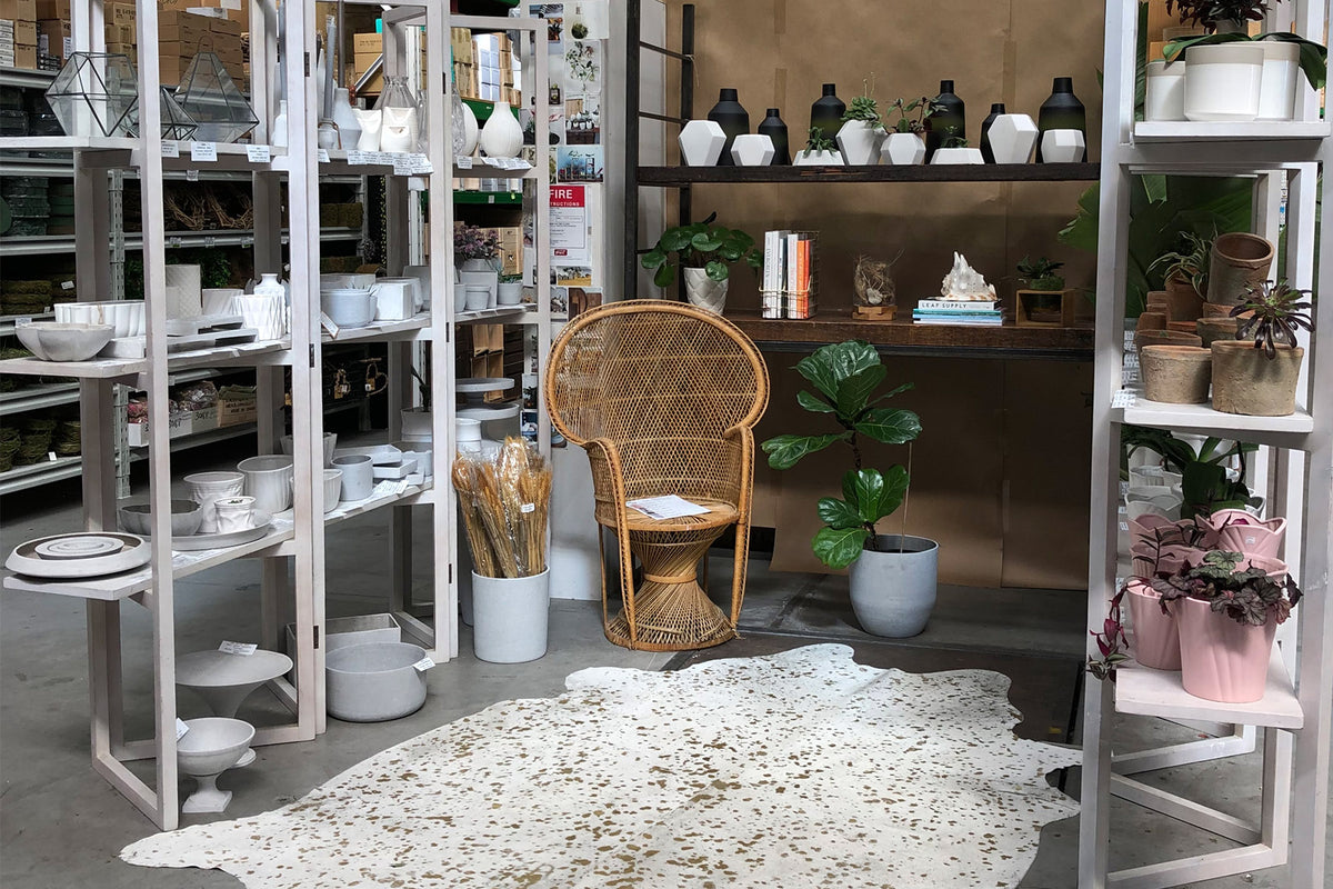 Hi from our Warehouse/ Showroom – Griff Trading