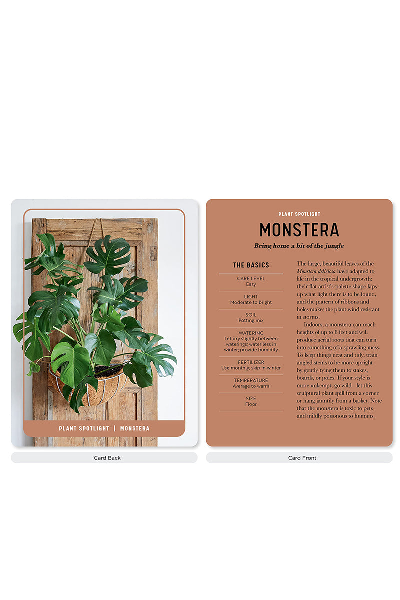 The House Plant Card Deck – Griff Trading